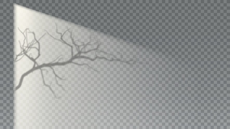 Tree Shadow Vector Images (over 27,000)
