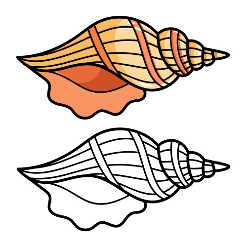 Conch Shell Cartoon Vector Images (over 1,900)