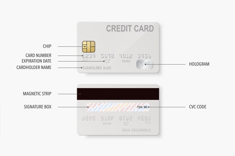 Realistic set passport identity card isolated Vector Image