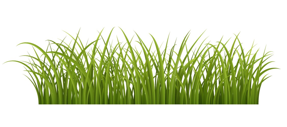 Wheat and grass Royalty Free Vector Image - VectorStock
