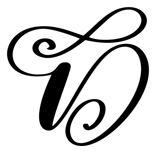 Calligraphy hand drawn letter d script Royalty Free Vector
