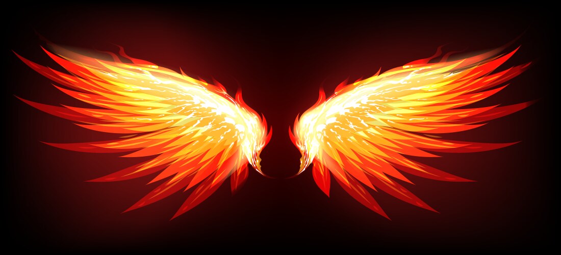 Phoenix Wings Vector Images (over 16,000)