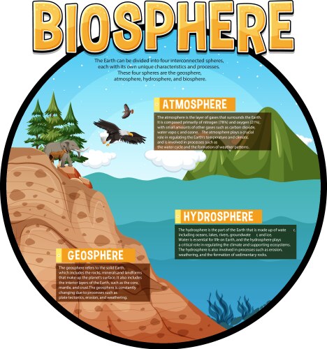 Biosphere Cartoon Vector Images (over 210)