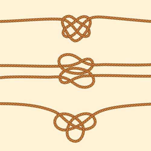 Ropes and knots Royalty Free Vector Image - VectorStock