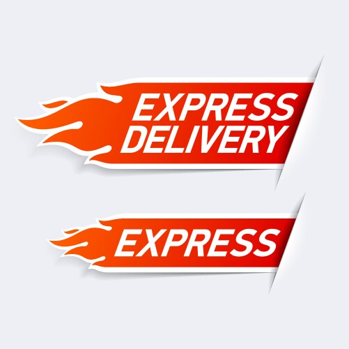 Express delivery badge with megaphone banner Vector Image