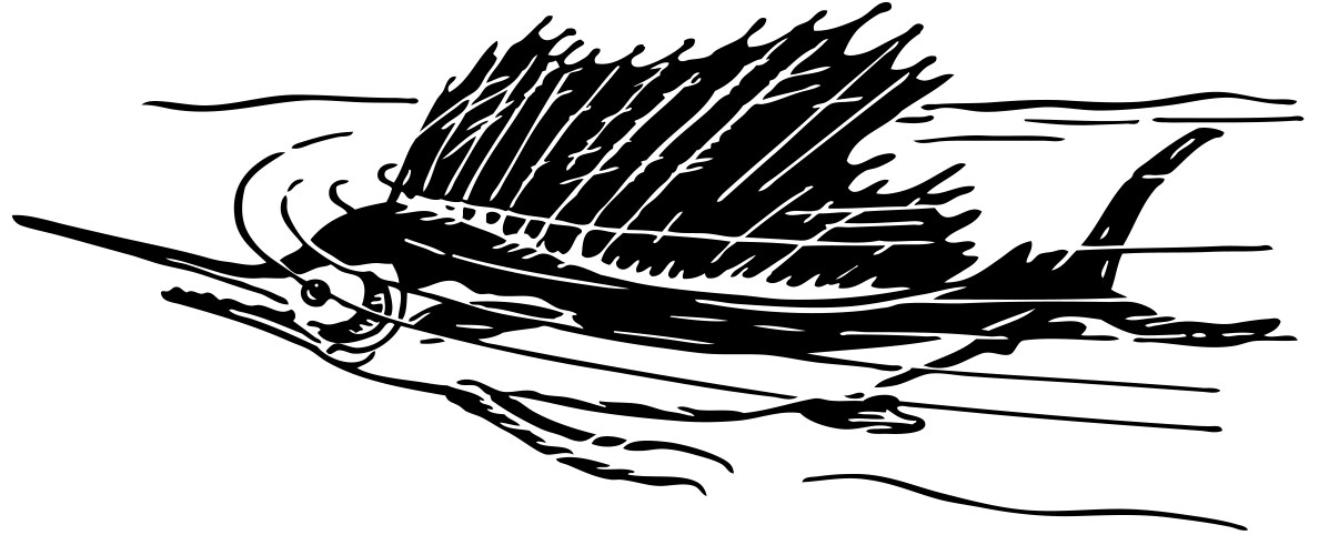 Sailfish Vector Images (over 2,400)