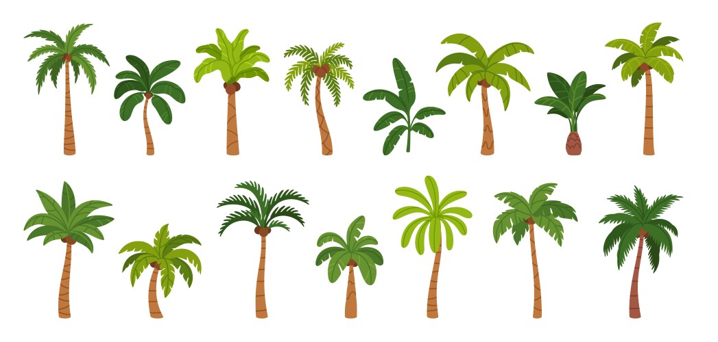 Tropical Trees Vector Images (over 200,000)