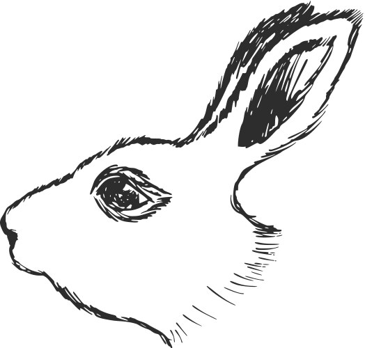 Rabbit Side View Vector Images (over 240)