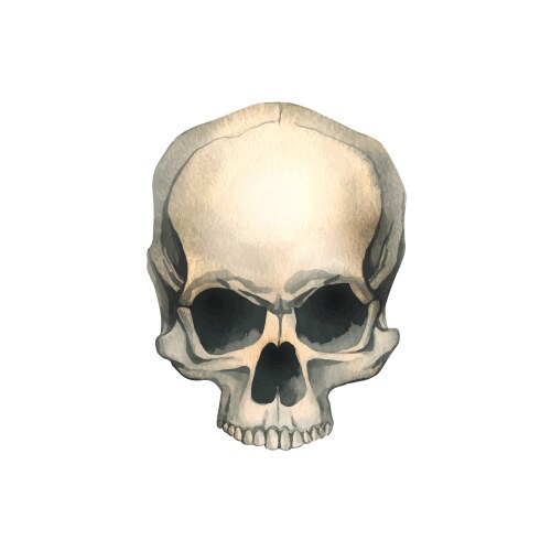 Without Face Vector Images (over 1,200)