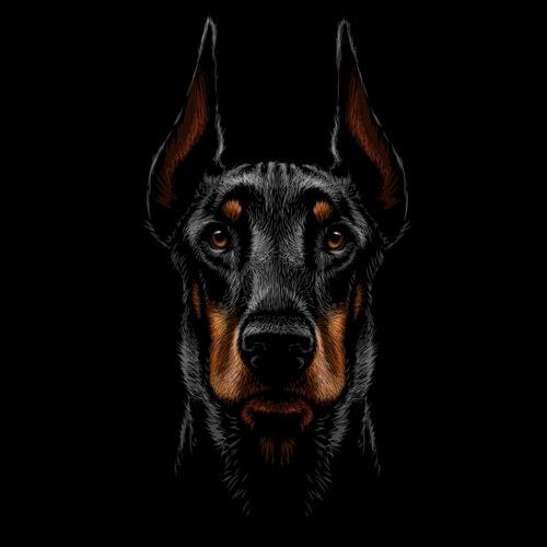 Cartoon Doberman Vector Images (over 1,600)