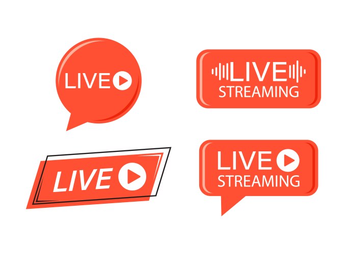 Live stream button icon in flat style webinar Vector Image