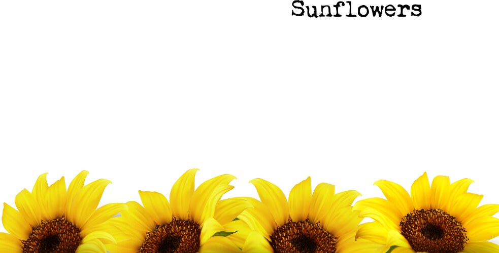 Sunflower Vector Images (over 53,000)