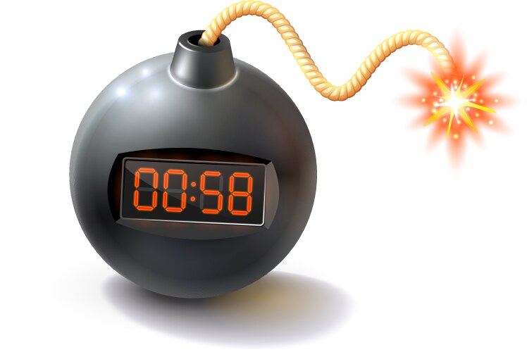 Realistic bomb with burning fuse isolated Vector Image