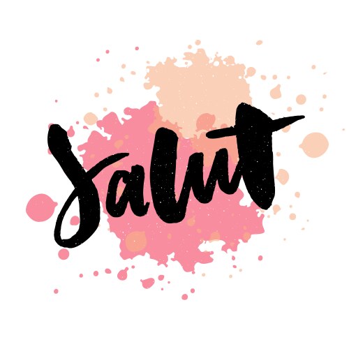 Calligraphy hand lettering alphabet highly detail Vector Image