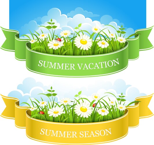 Summer banner Royalty Free Vector Image - VectorStock