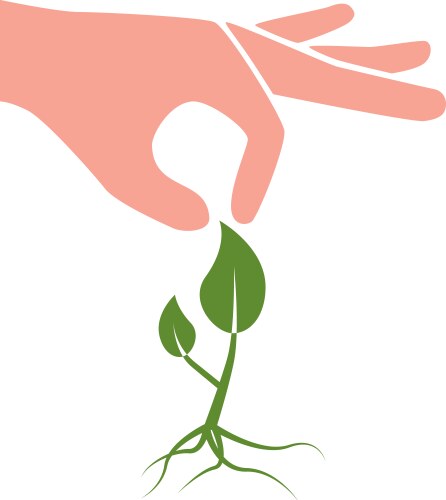 Plant stem Royalty Free Vector Image - VectorStock