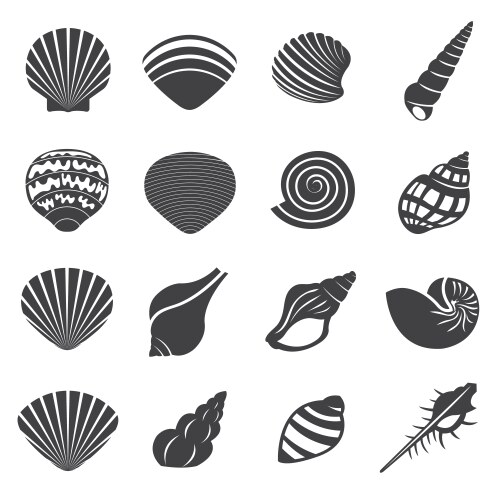 Set of beautiful sea shells Royalty Free Vector Image