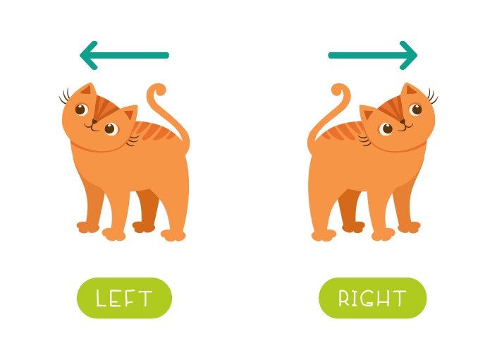 Cat Flashcard Vector Images (over 270)