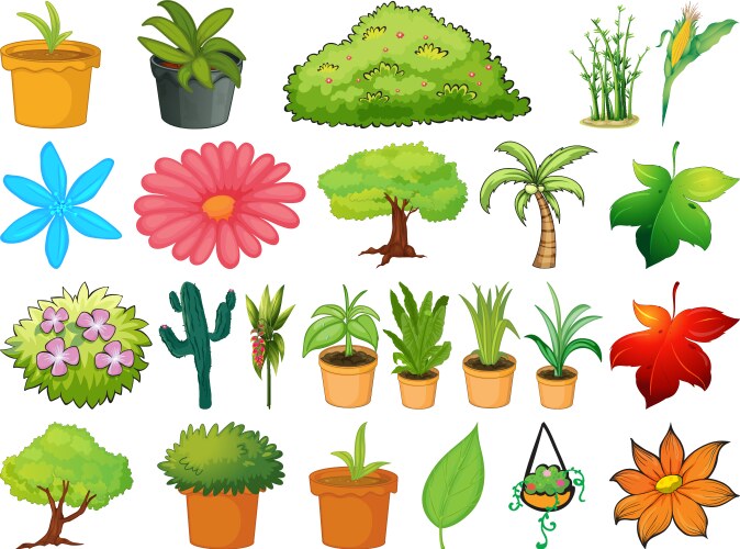 A plant Royalty Free Vector Image - VectorStock