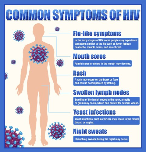 Informative Poster Of Common Symptoms Hiv Vector Image