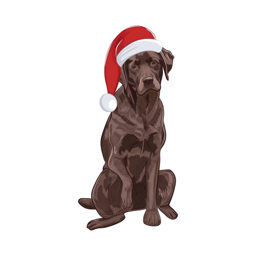 Chocolate Labrador Vector Images (over 130)