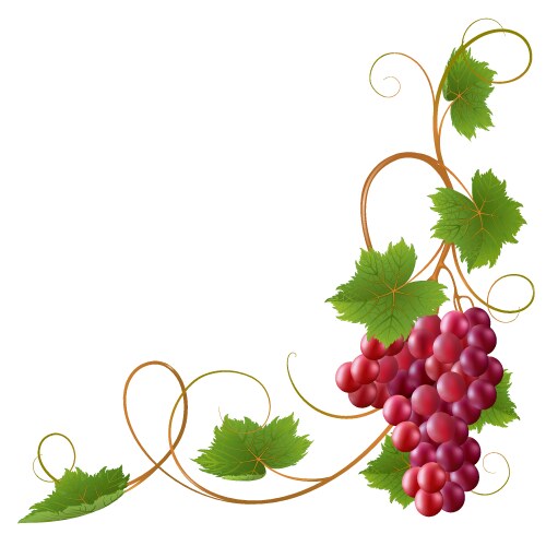 Vine Plants Vector Images (over 21,000)