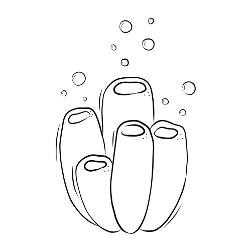 Sea Sponge Vector Images (over 1,900)