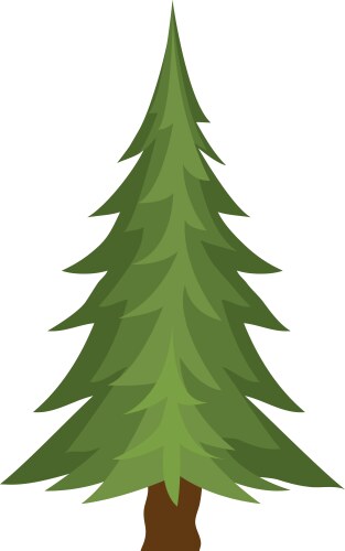 Pine tree with green leaves Royalty Free Vector Image