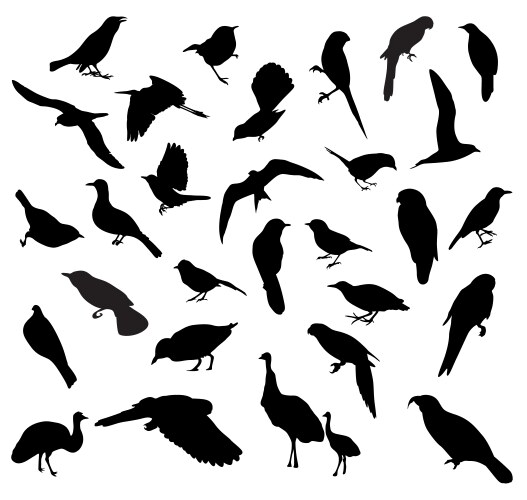 Birds Vector Images (over 550,000)
