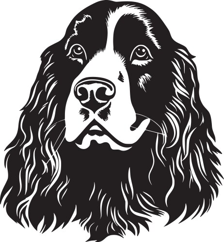 Cocker spaniel - high quality logo ideal Vector Image