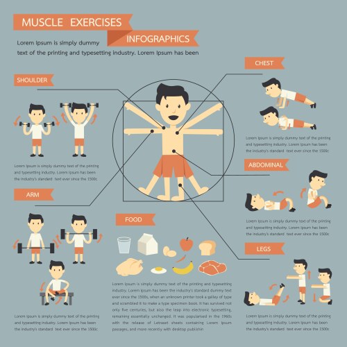 Muscle Vector Images (over 140,000)