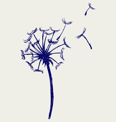 Dandelion Vector Images (over 14,000)