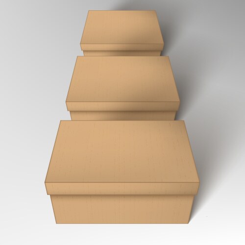 Brown cardboard box with handle isolated on white Vector Image