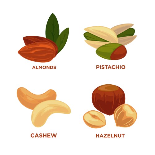 Nuts icons set Royalty Free Vector Image - VectorStock