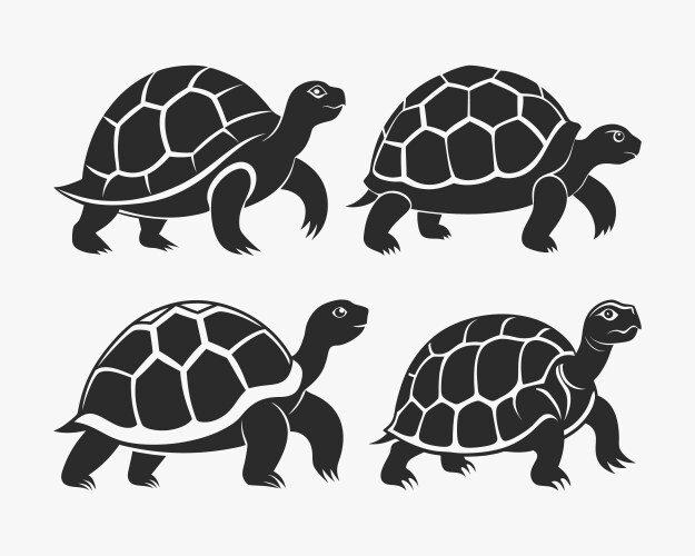 Tortoise Outline Vector Images (over 3,000)