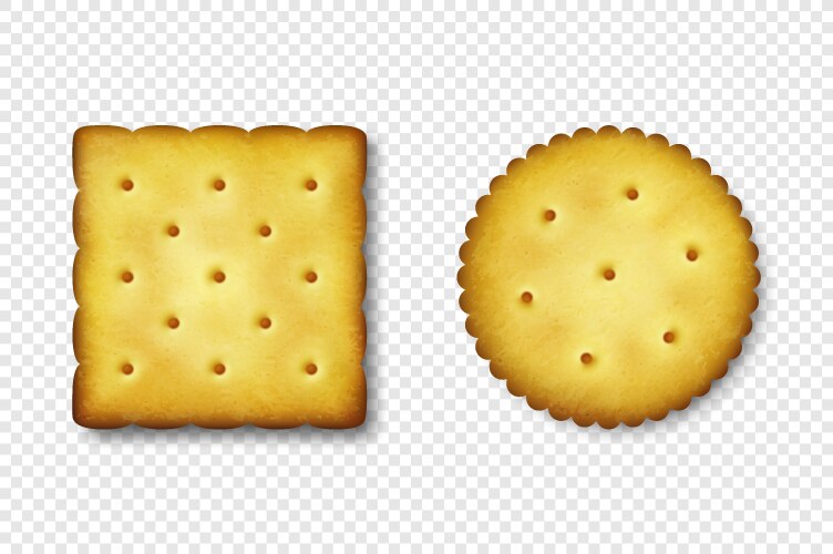 Realistic 3d square delicious salty cookies Vector Image