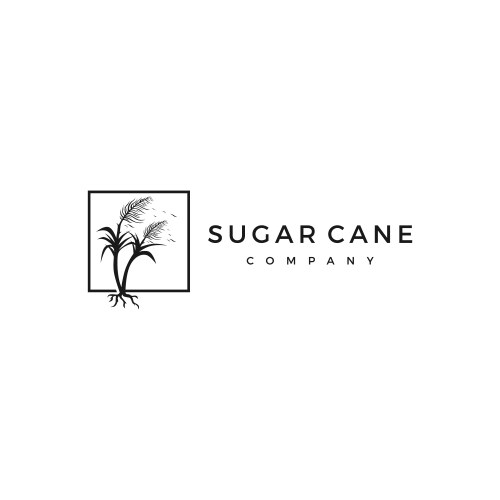 Sugarcane Juice Logo Vector Images (over 550)