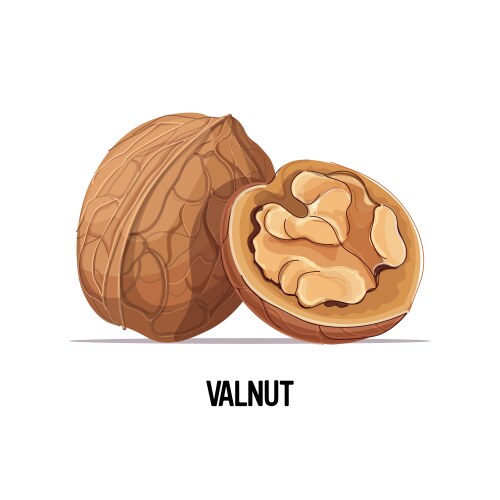 Walnuts icon cartoon style Royalty Free Vector Image
