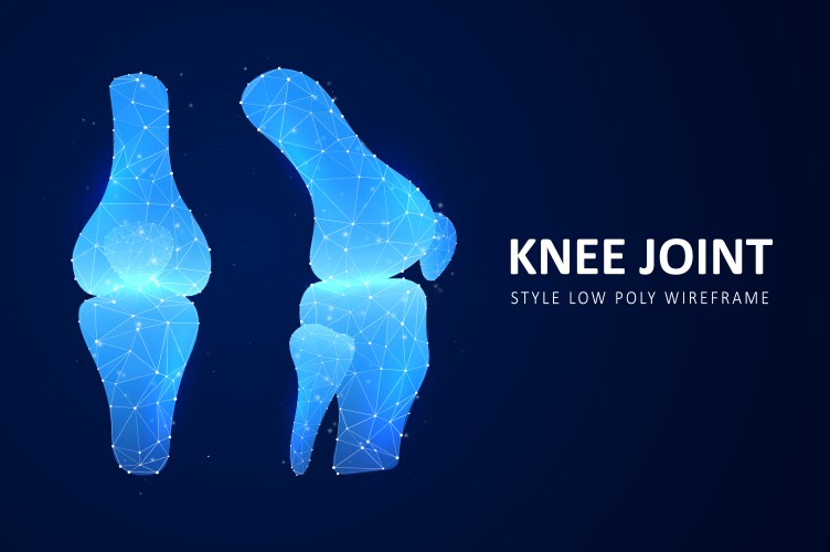 Joint Vector Images (over 48,000)