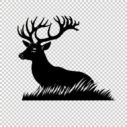 Whitetail Deer Head Vector
