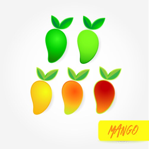 Mango fresh fruit graphic Royalty Free Vector Image