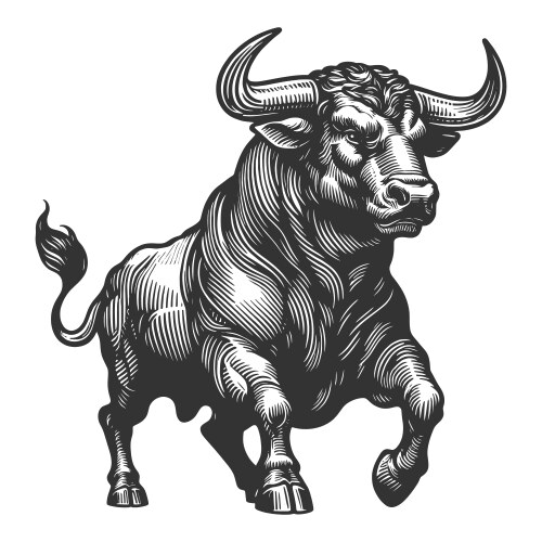 Bull engraving sketch Royalty Free Vector Image