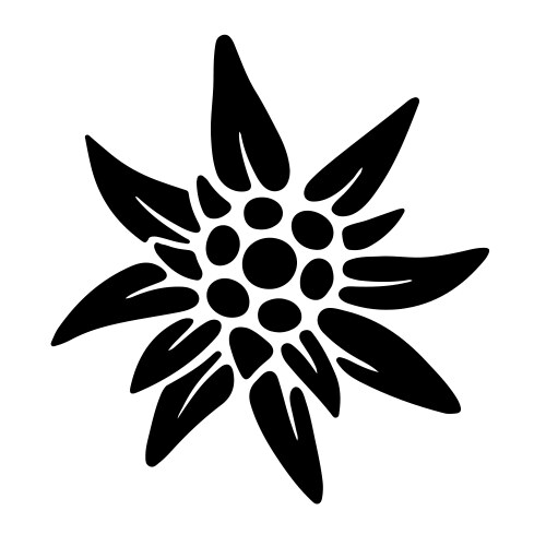 Edelweiss Vector Images (over 440)