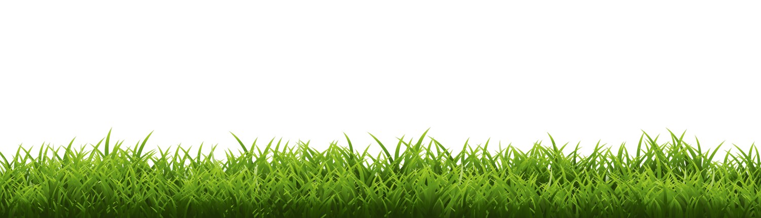 Spring grass seamless border floral Royalty Free Vector