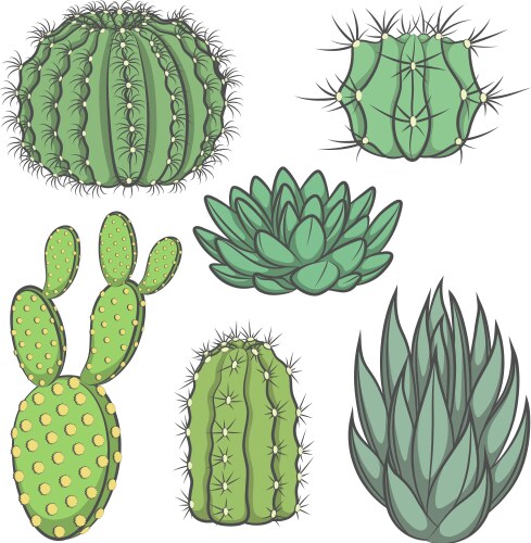 Cactus Royalty Free Vector Image - VectorStock