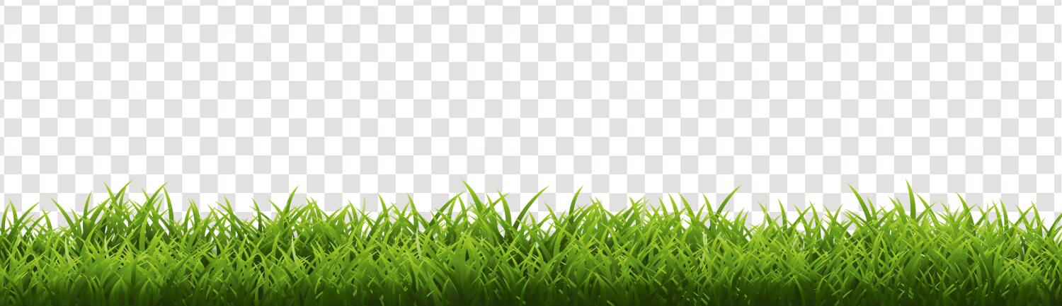 Grass border Royalty Free Vector Image - VectorStock