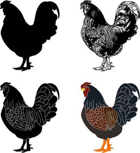 Hen Vector Images (over 45,000)