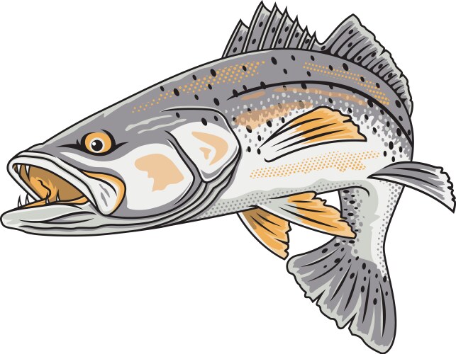 Speckled trout fishing logo Royalty Free Vector Image