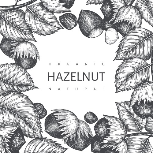 Hazelnut in hand-drawn style Royalty Free Vector Image