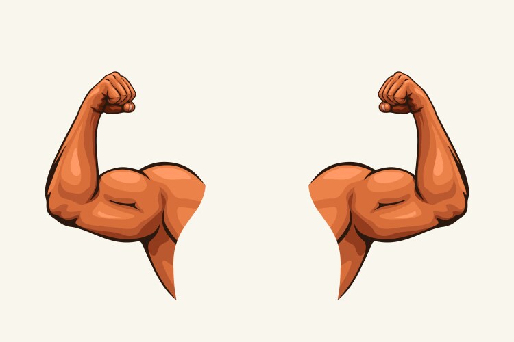 Bicep Cartoon Bicep Cartoon Hi Res Stock Photography And Images